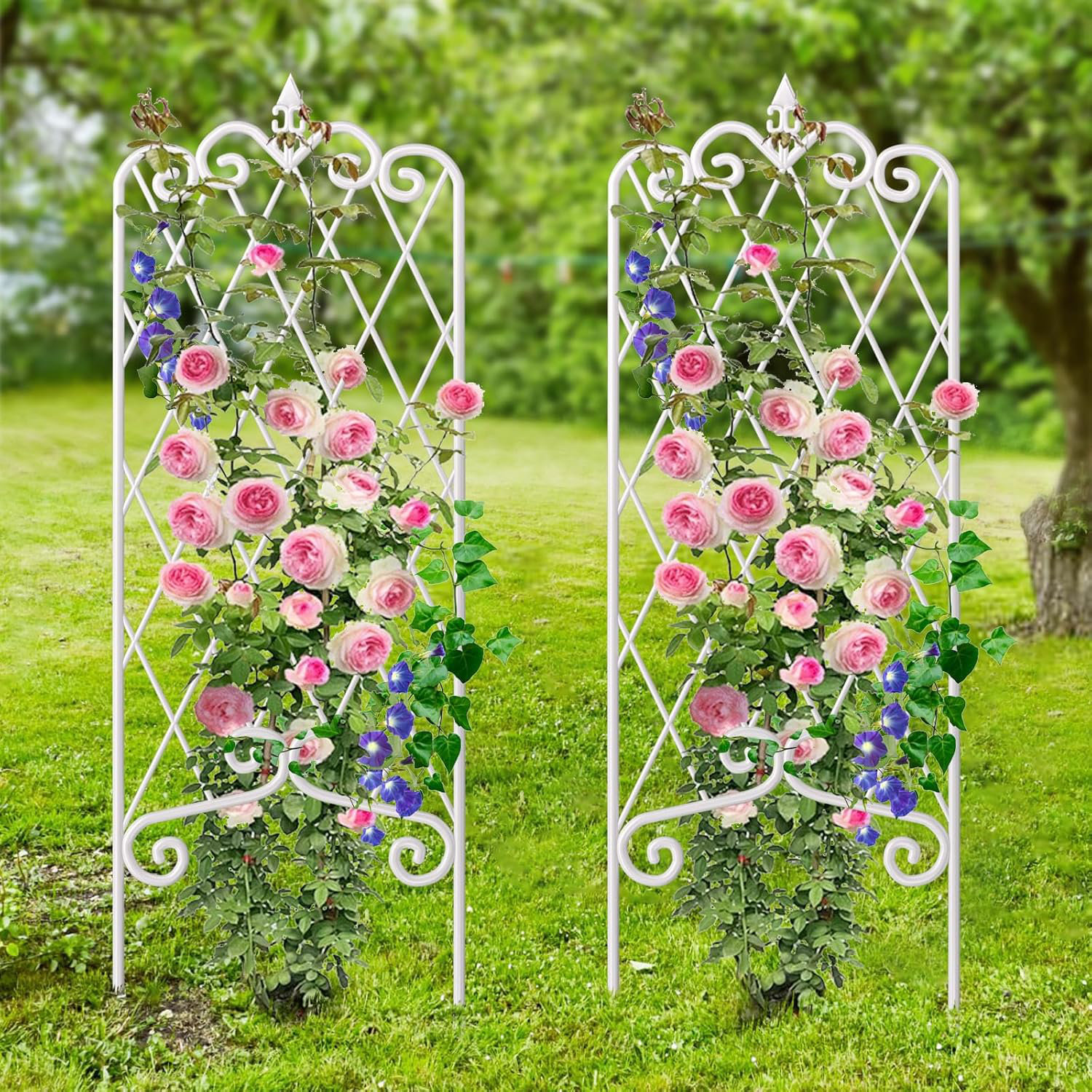Alcott Hill® 2 Pack 60" x 18" Garden Trellis | Wayfair